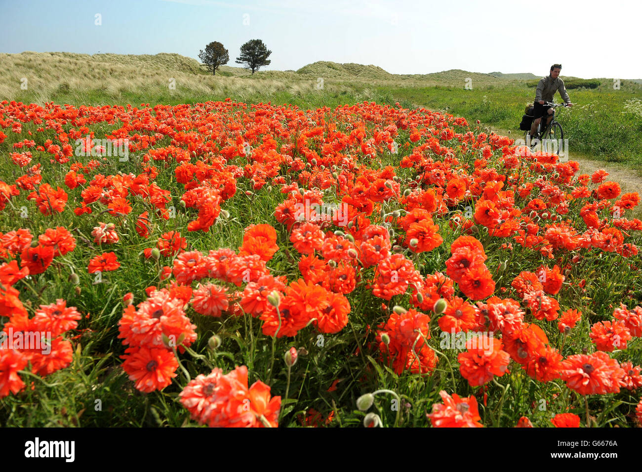 Summer weather June 11 Stock Photo - Alamy