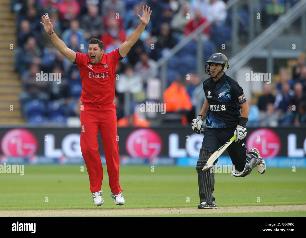 England 's Tim Bresnan celebrates trapping New Zealand batsman Ross ...