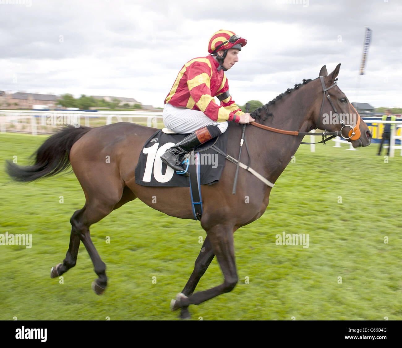 Capellanus hi-res stock photography and images - Alamy
