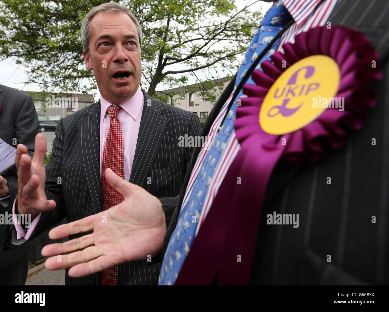 UKIP's Farage returns to Scotland Stock Photo - Alamy