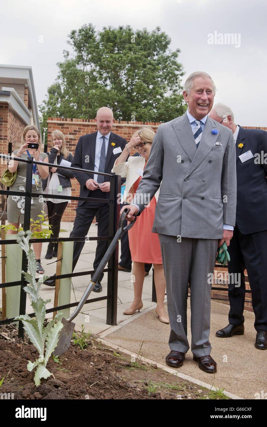 The Prince of Wales plants a plant in the garden as he opens the Marie ...