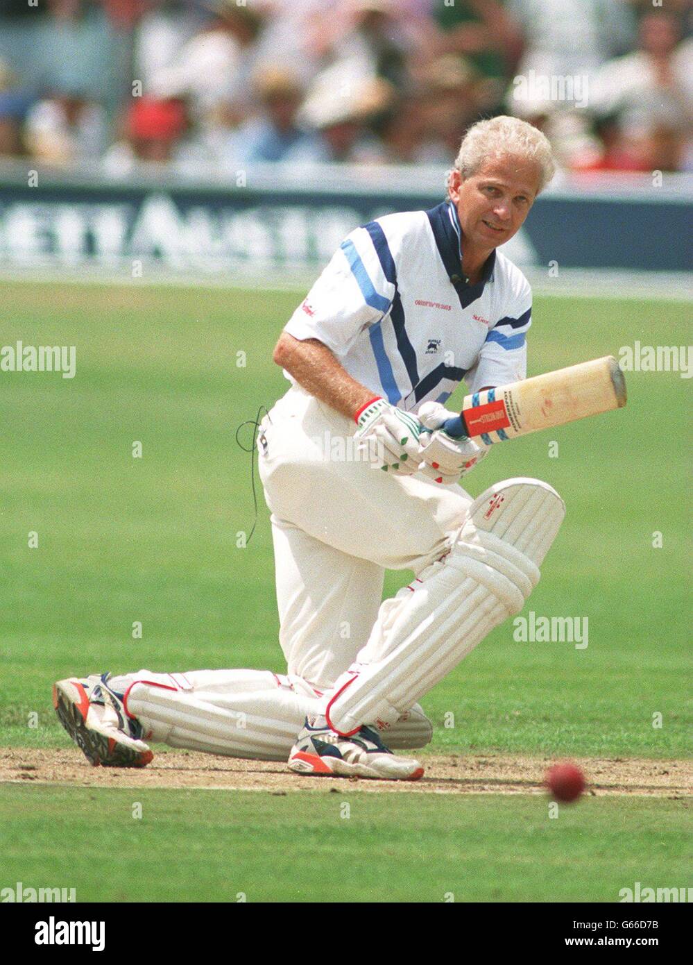 Cricket - Celebrities of Cricket Stock Photo - Alamy