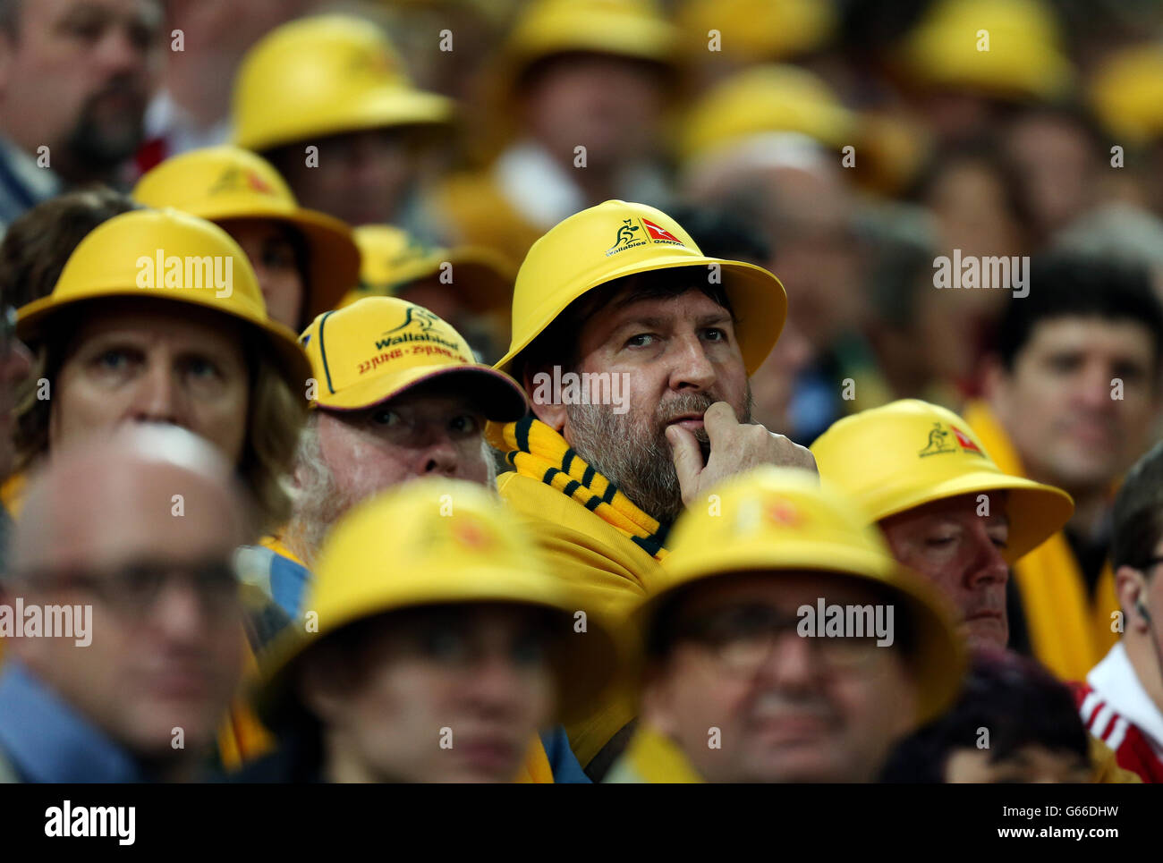 Lions tour rugby fans hi-res stock photography and images - Alamy