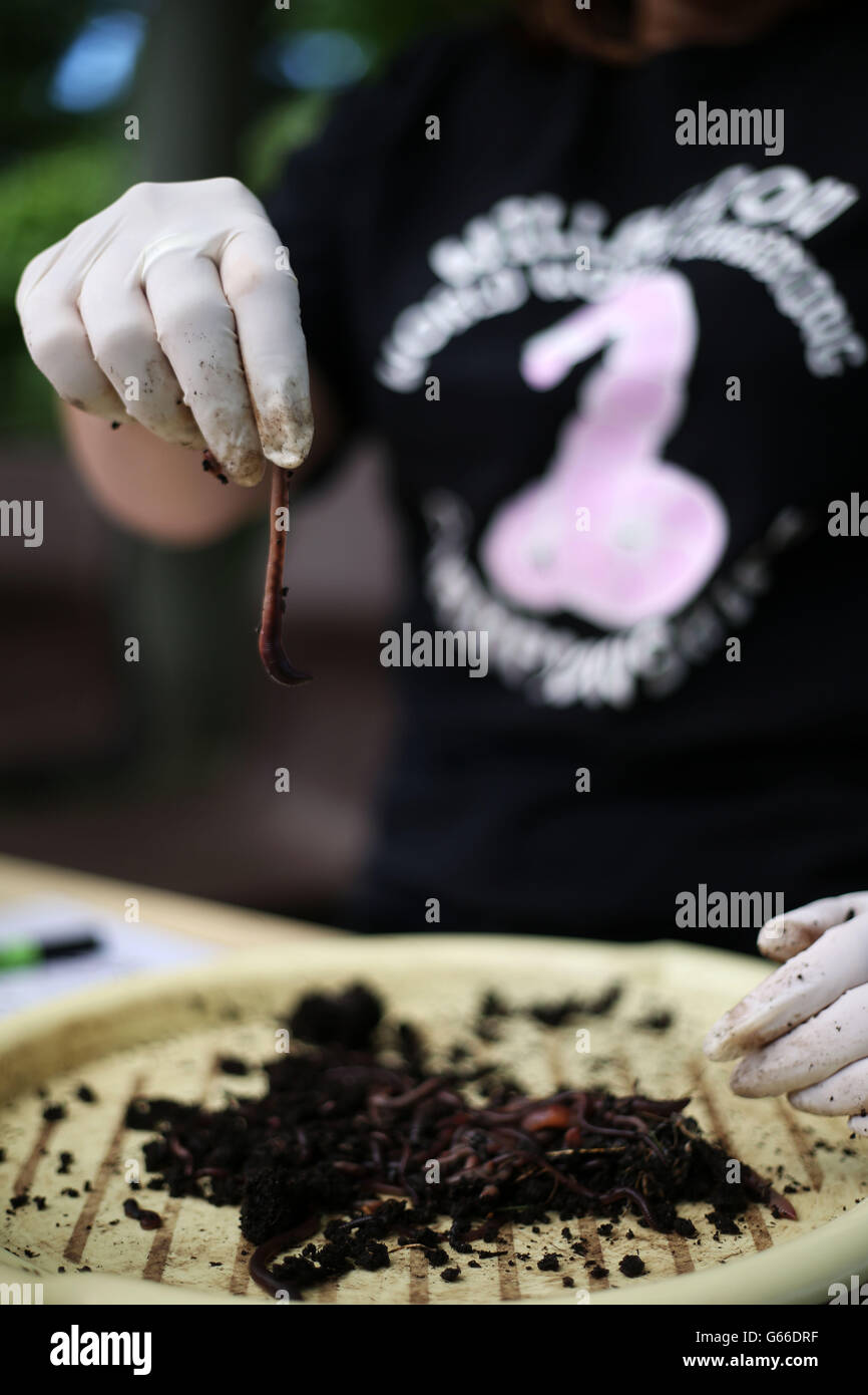 World Worm Charming Championships Stock Photo - Alamy
