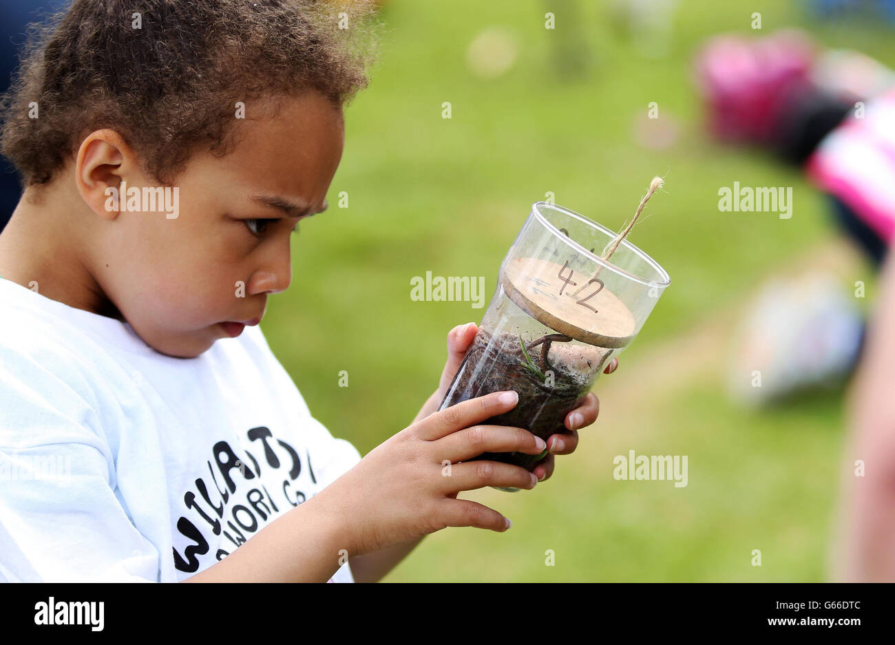 World Worm Charming Championships Stock Photo - Alamy
