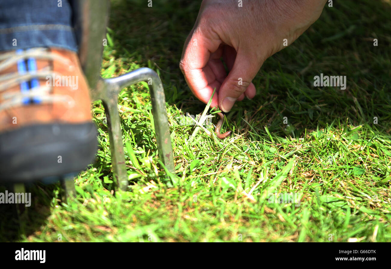 World Worm Charming Championships Stock Photo - Alamy