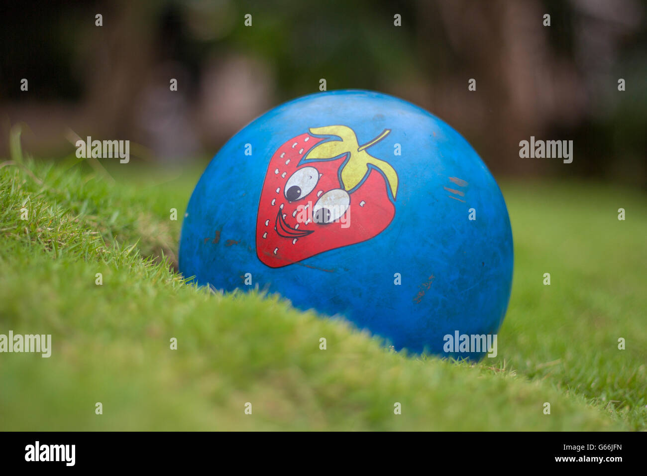 Ball garden hi-res stock photography and images - Alamy