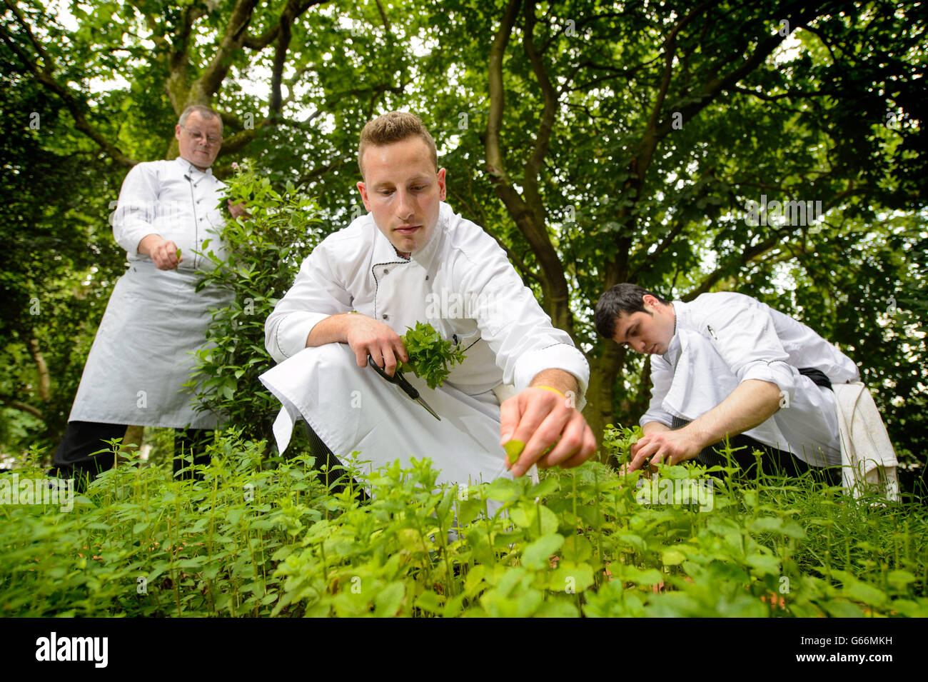 Daniele polito hi-res stock photography and images - Alamy