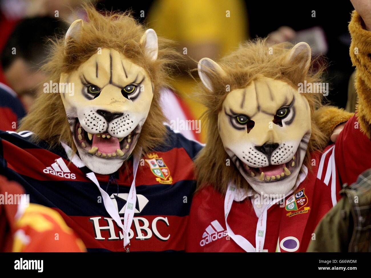 Lions tour rugby fans hi-res stock photography and images - Alamy