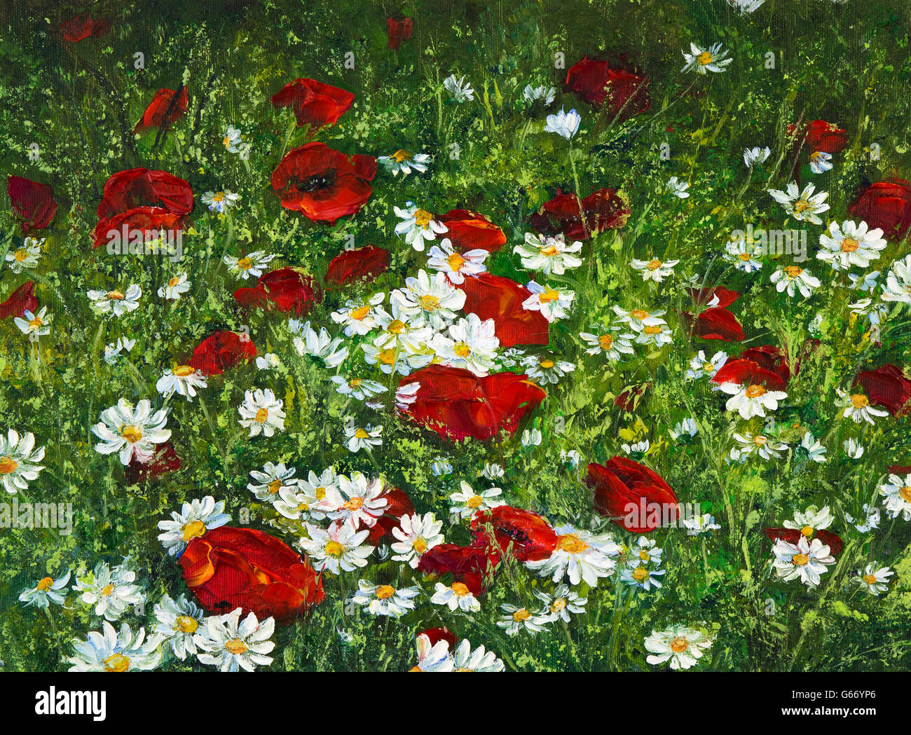 Original oil painting of Opium poppy( Papaver somniferum) and daisy ...