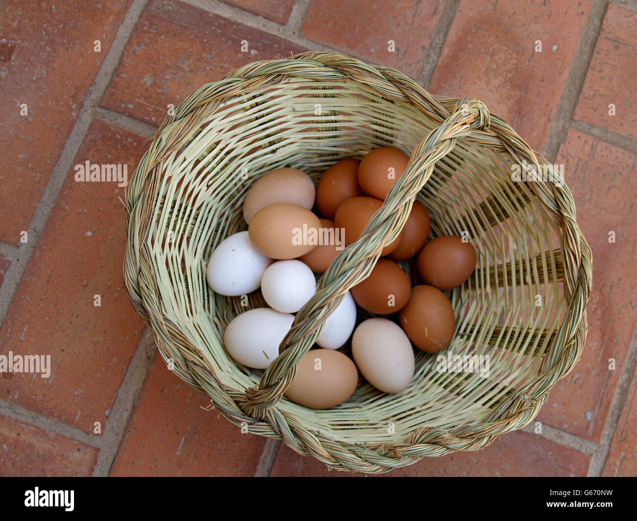 cane basket with colored eggs Stock Photo - Alamy