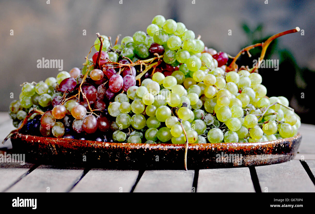 Beta grapes hi-res stock photography and images - Alamy