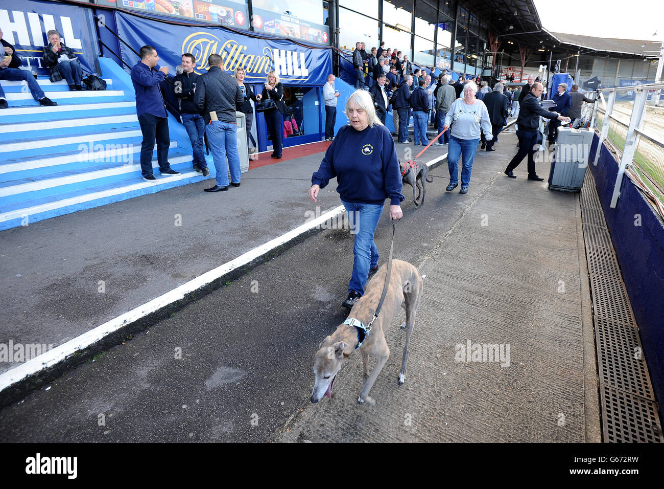 The dogs are paraded in front of the racegoers at Wimbledon Stadium ...