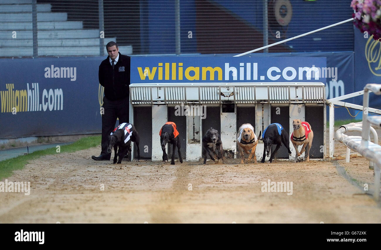 Droopys Ed Moses (no.6 black/white), Islas Scolari (no.5 orange ...