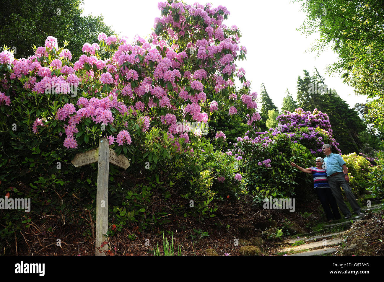 Summer weather June 20 Stock Photo - Alamy