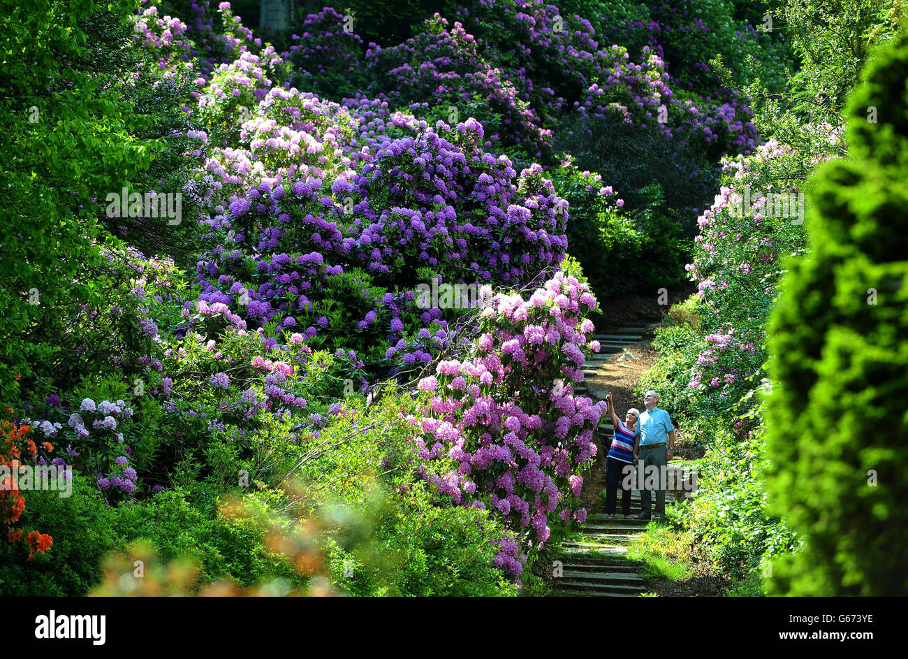 Summer weather June 20 Stock Photo - Alamy