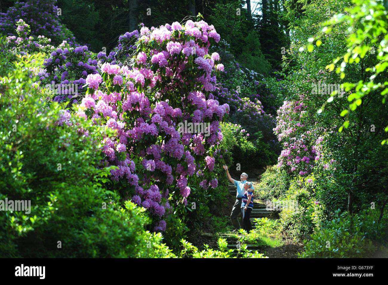Summer weather June 20 Stock Photo - Alamy