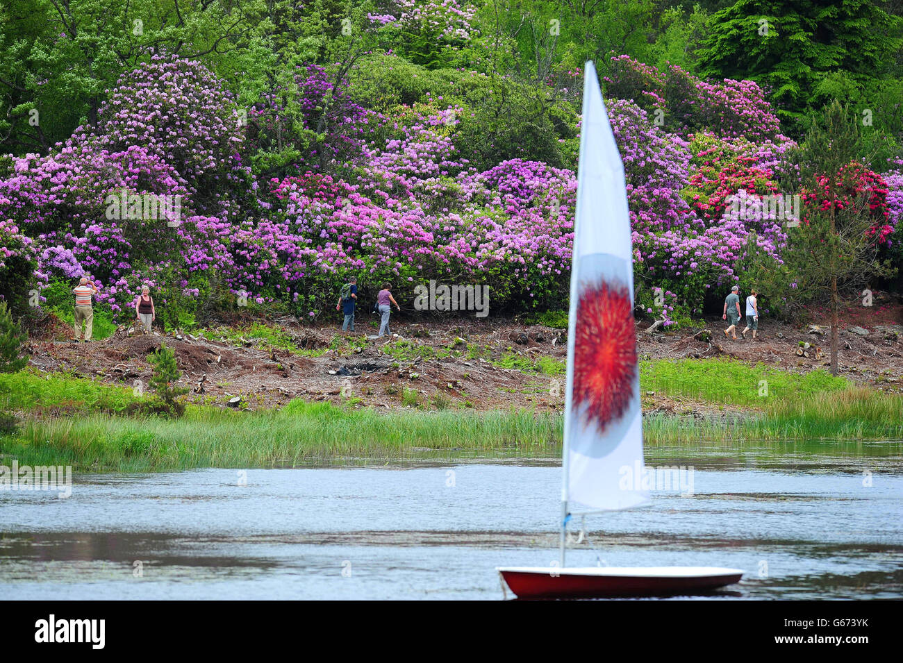 Summer weather June 20 Stock Photo - Alamy