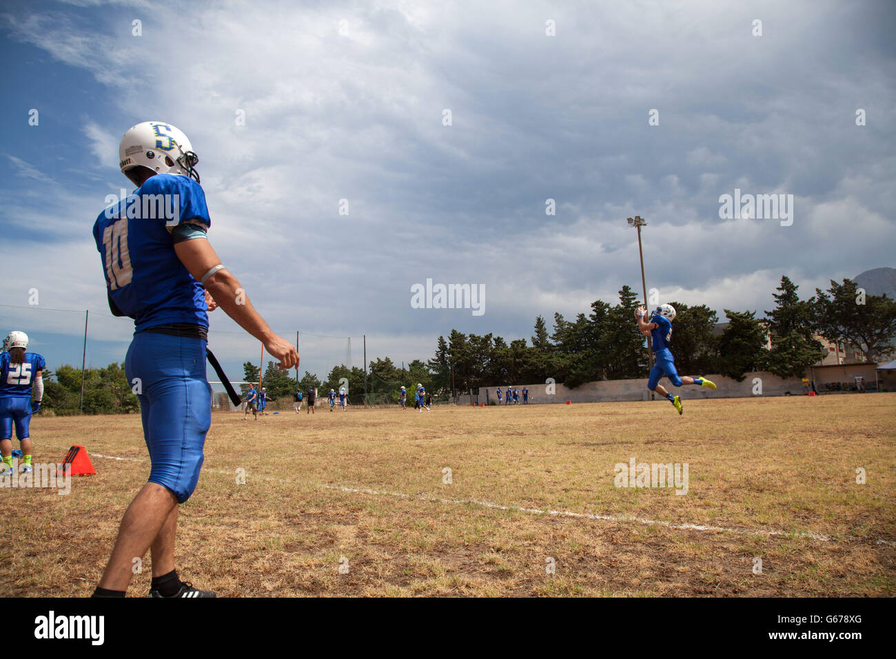 Training sharks stadium hi-res stock photography and images - Alamy