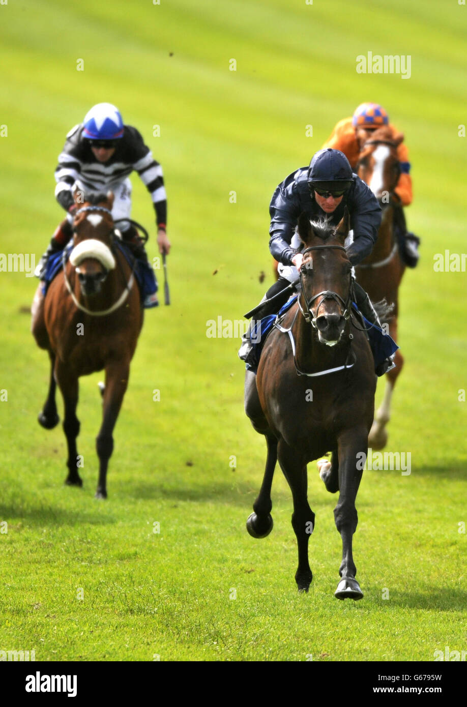 Polly hemingway hi-res stock photography and images - Alamy