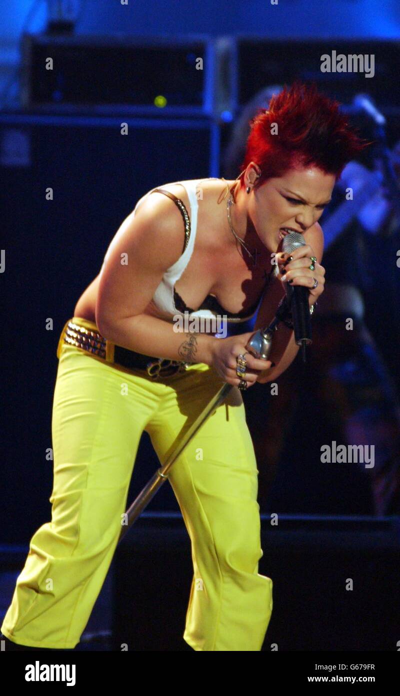 P Nk 2003