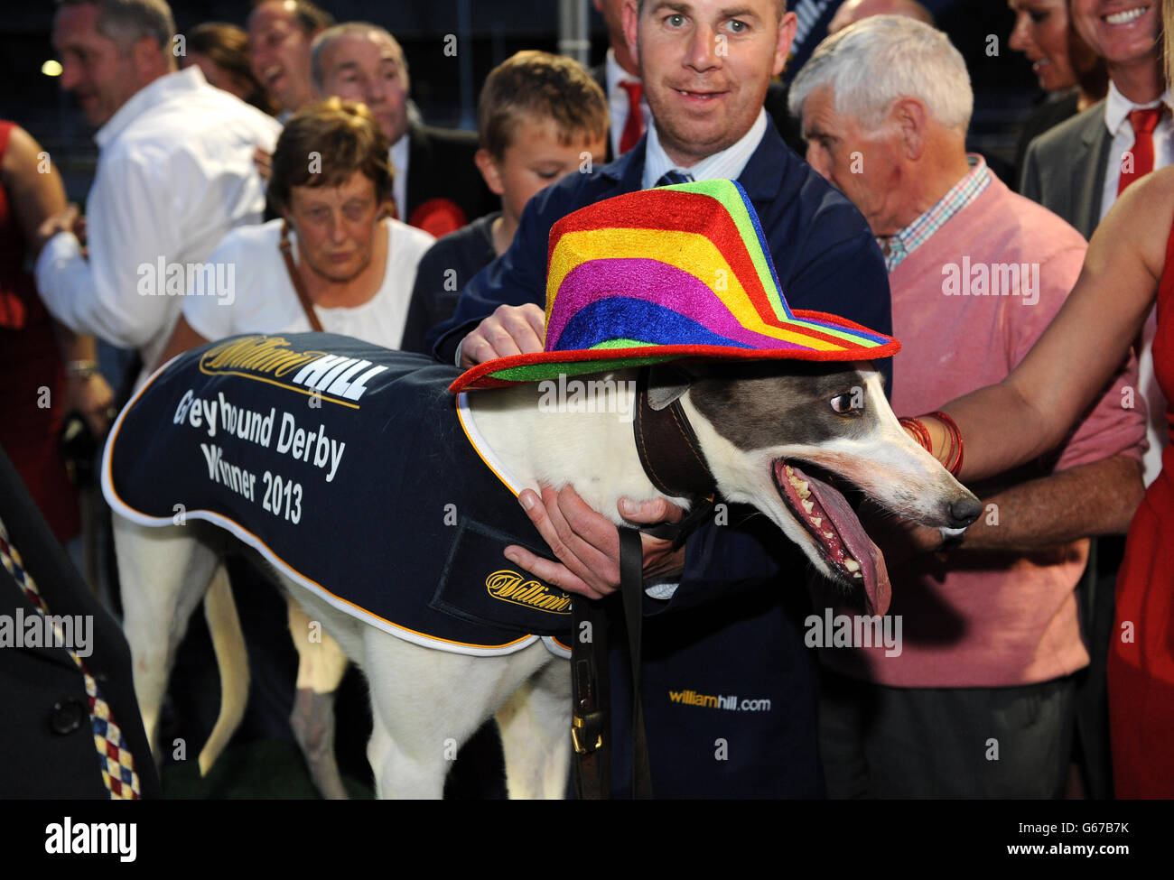Greyhound Racing - William Hill Derby - Final - Wimbledon Stadium Stock ...