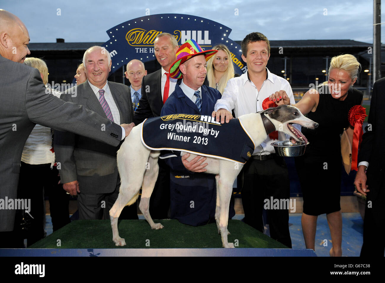 Greyhound Racing - William Hill Derby - Final - Wimbledon Stadium Stock ...