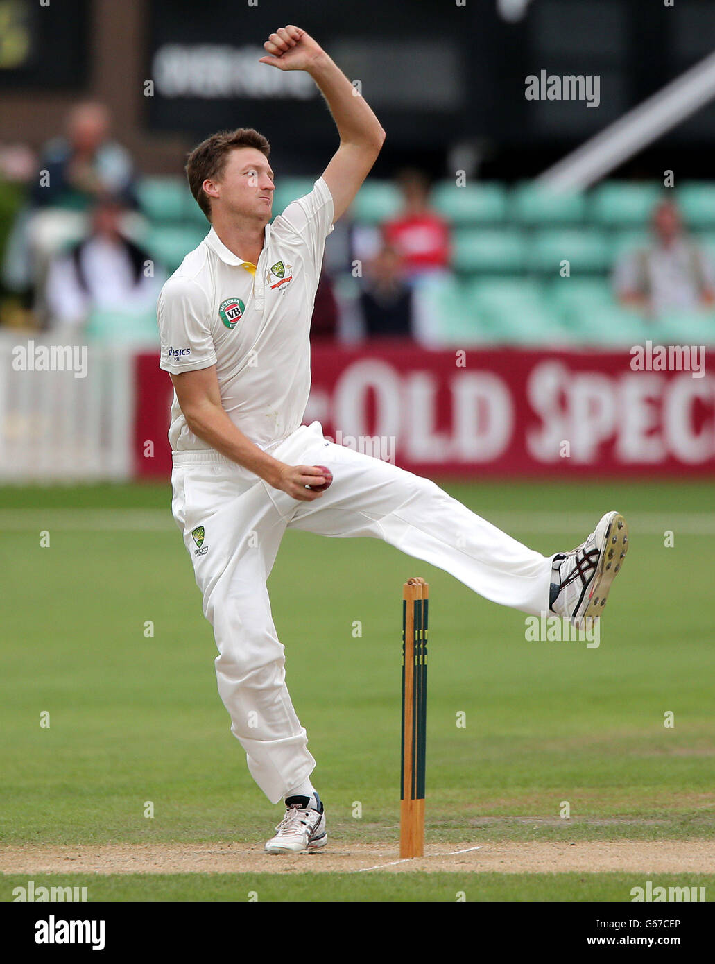 Jackson bird hi-res stock photography and images - Alamy