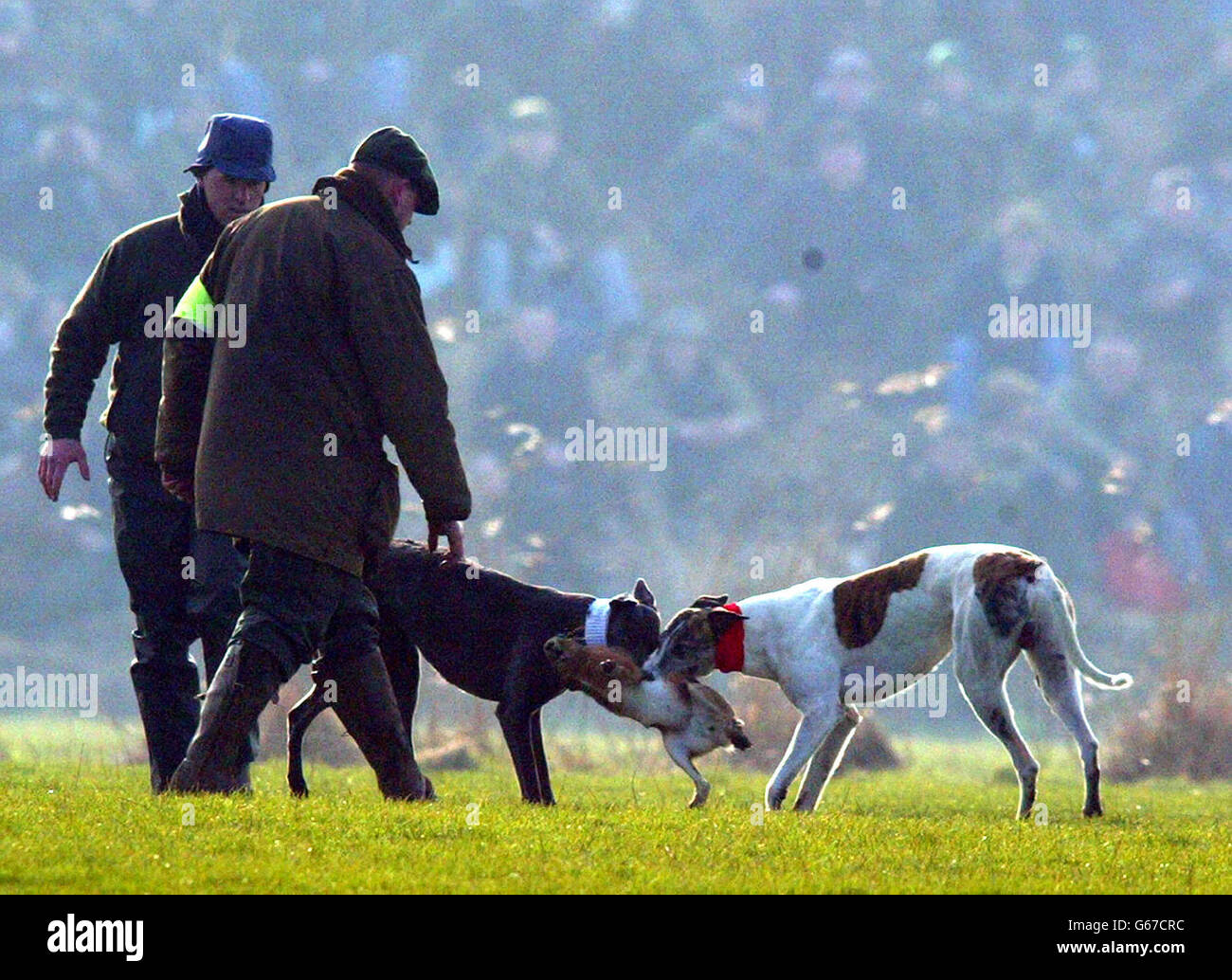 The Waterloo Cup High Resolution Stock Photography and Images - Alamy