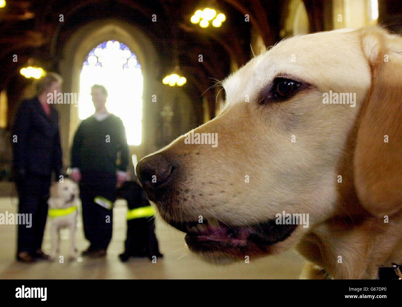 Bill Tynan MP's Fireworks Bill Stock Photo - Alamy
