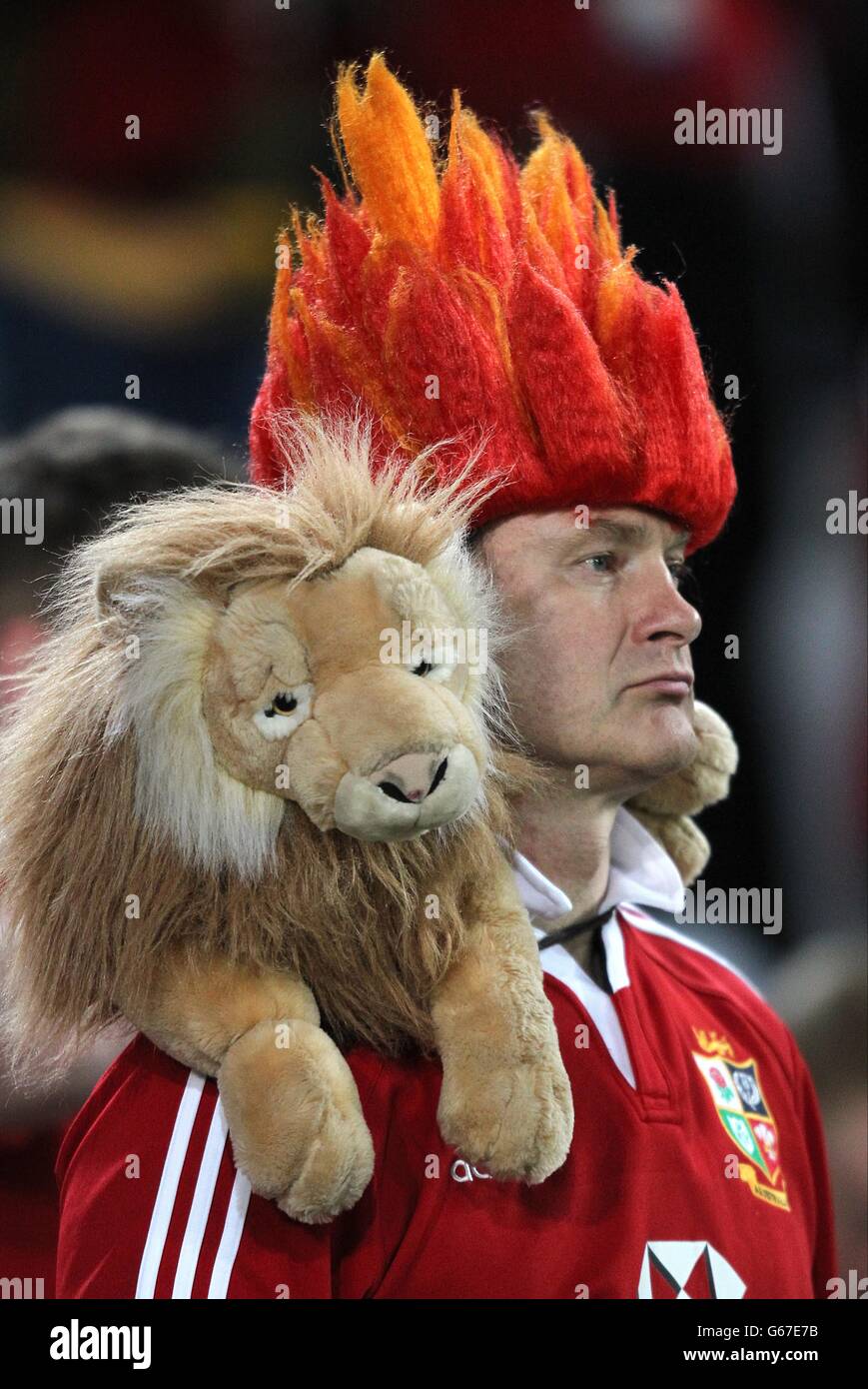 Lions rugby fan hi-res stock photography and images - Alamy
