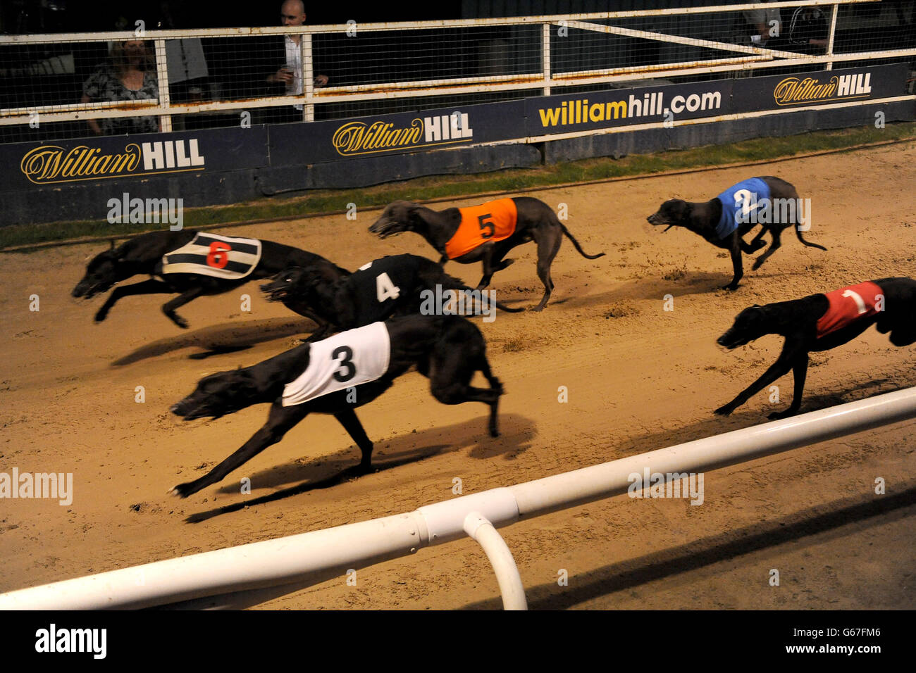 General view of the dogs in action after the William Hill Derby Quarter ...