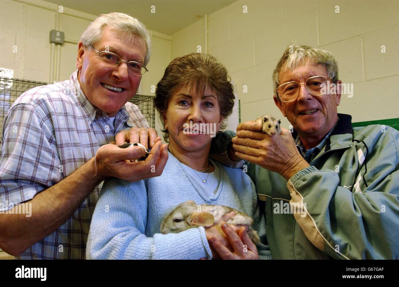 Reunited former blue peter presenters l r peter purves hi-res stock ...