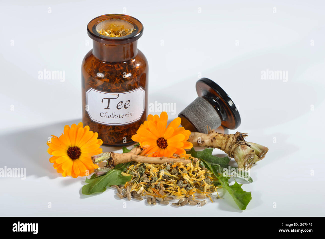 Dandelion root and herb, Common Marigold, Soapwort root, Saponaria root ...