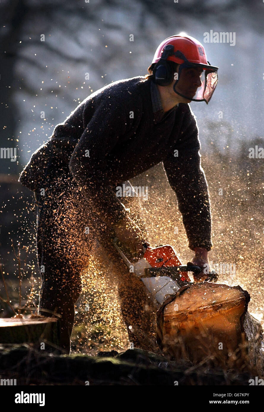 Timber Cladding Uk High Resolution Stock Photography and Images - Alamy