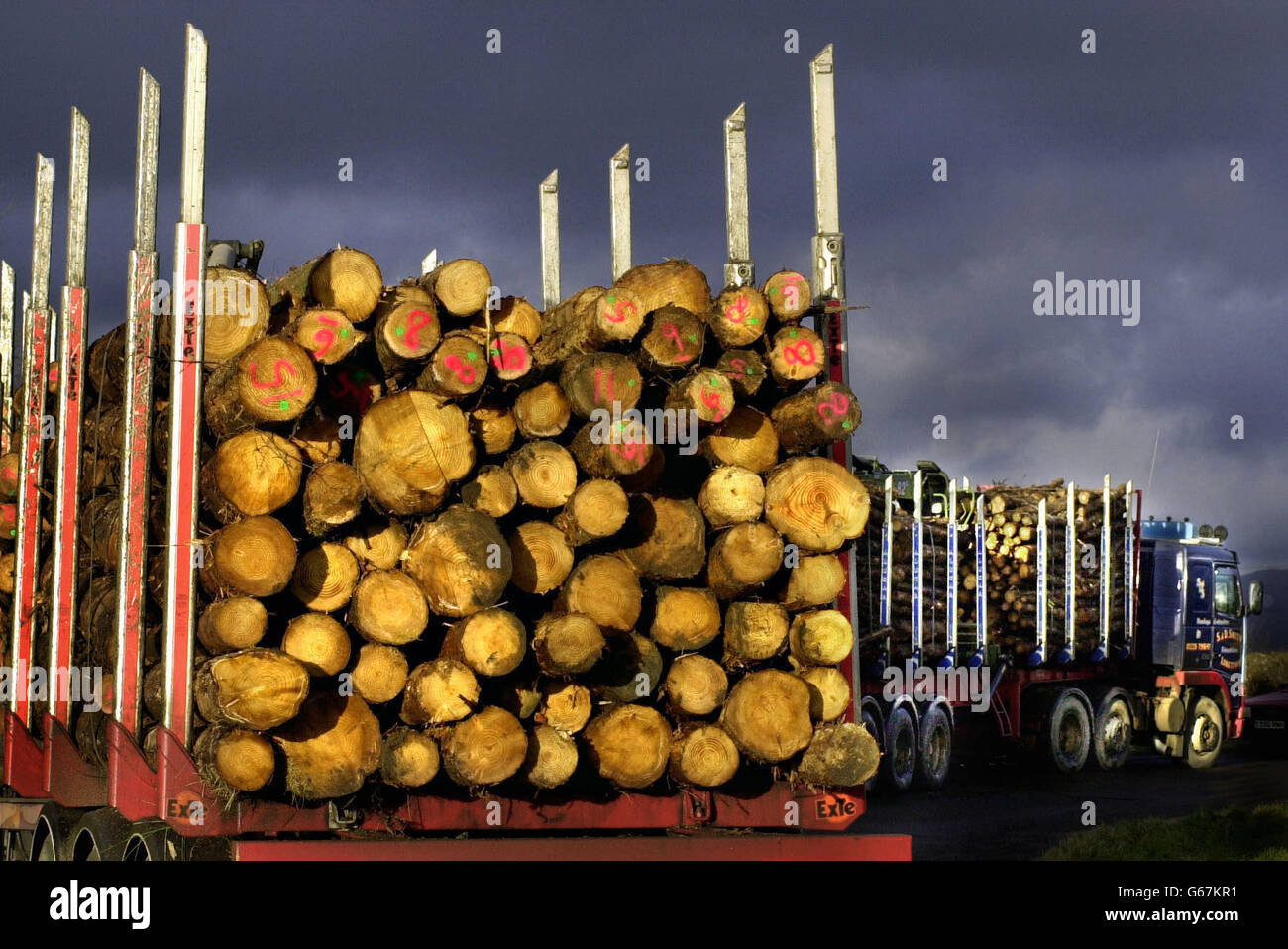 A lorry takes away wood from a forest in the Scottish Borders. Scotland ...