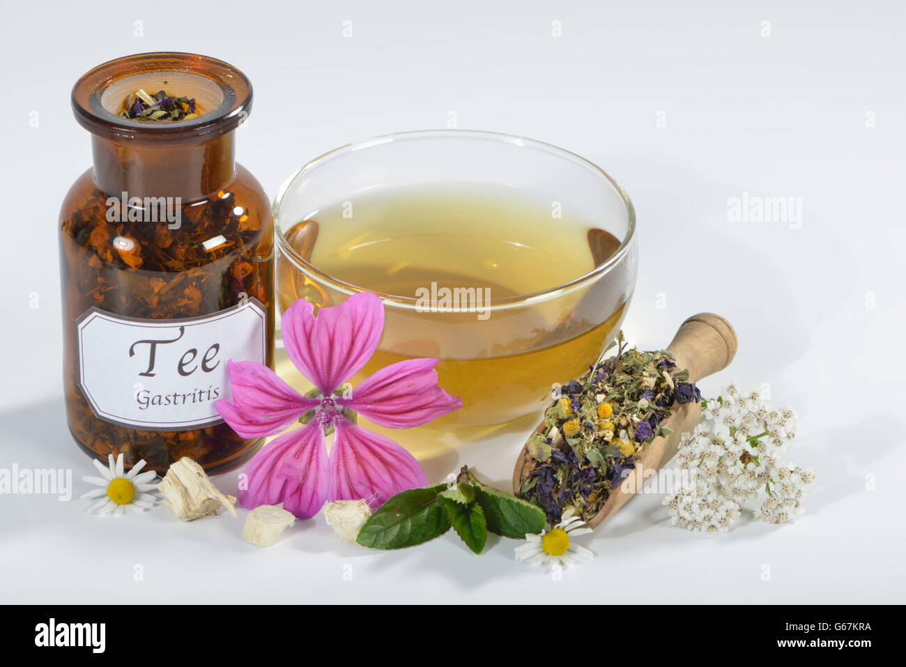 Peppermint, Sweet Weed, Marshmallow leaf, Marshmallow root, Yarrow ...