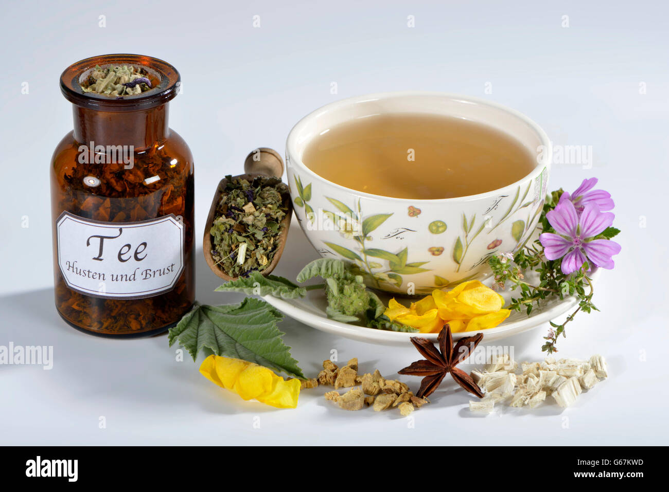 Althaea vulgaris hi-res stock photography and images - Alamy