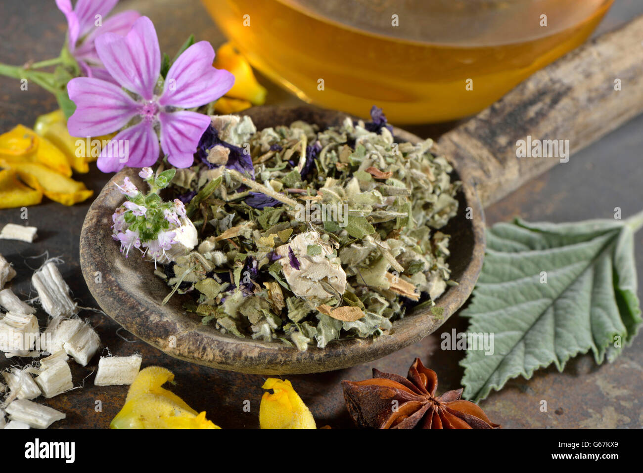 Althea root hi-res stock photography and images - Alamy