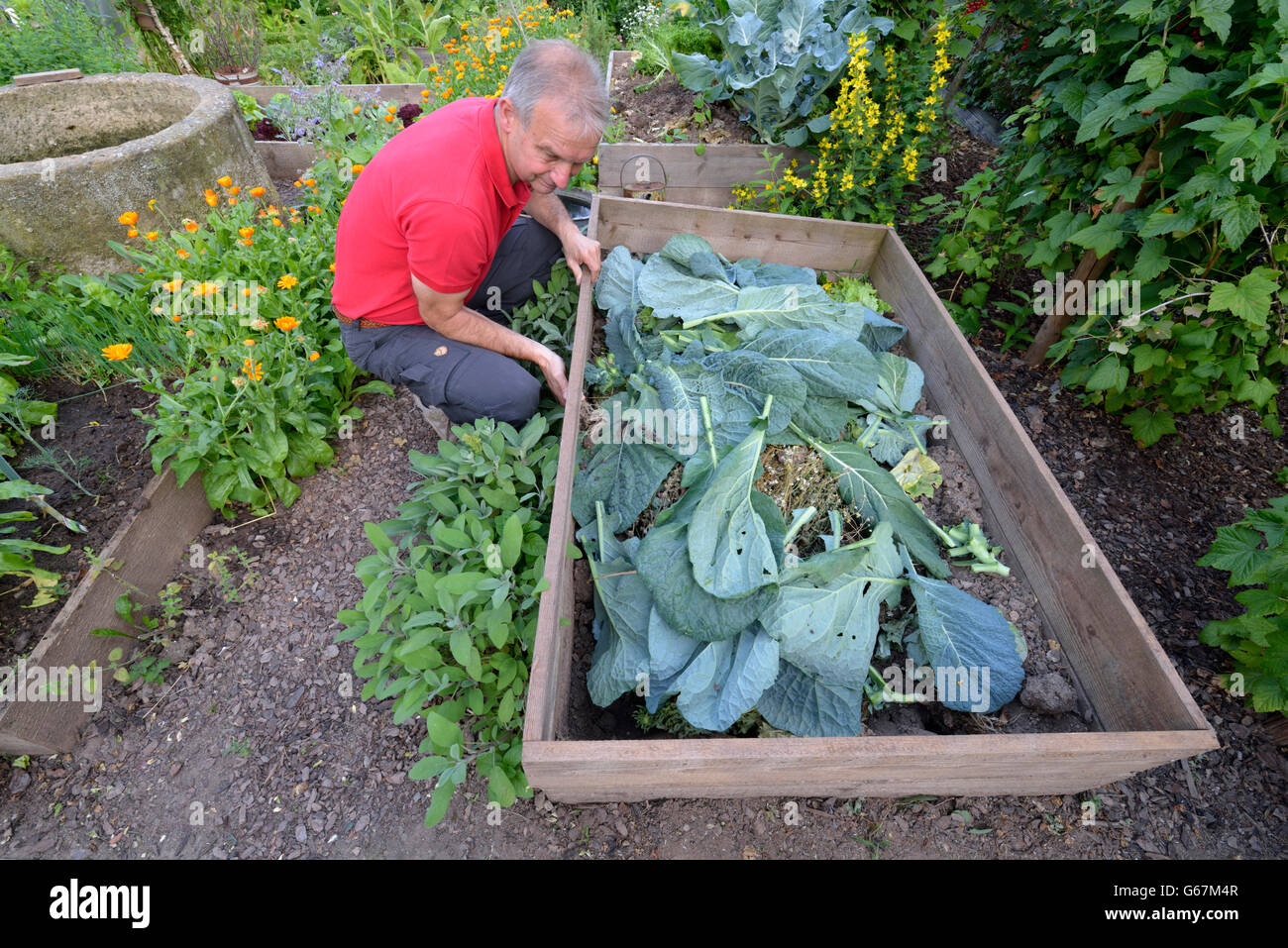 Wooden bed frame hi-res stock photography and images - Alamy