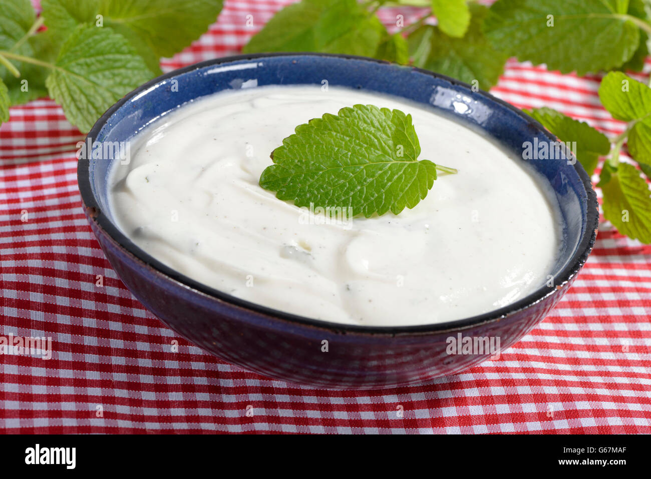 Balm-Quark-Cream, balm / (Melissa officinalis Stock Photo - Alamy