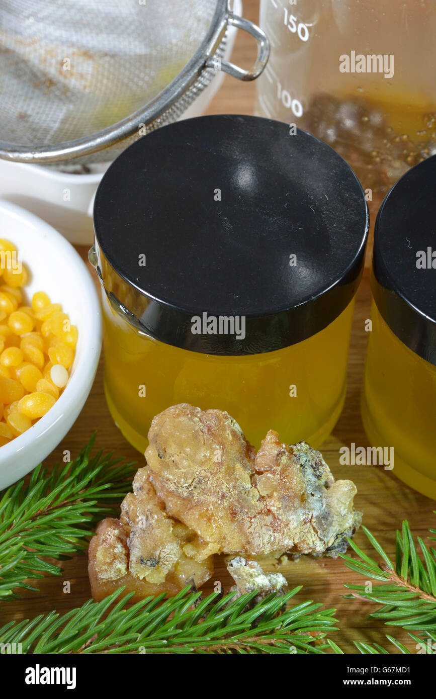 Production spruce resin ointment / (Picea abies Stock Photo - Alamy