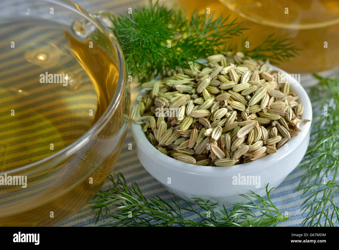 A cup of fennel tea / (Foeniculum vulgare Stock Photo - Alamy