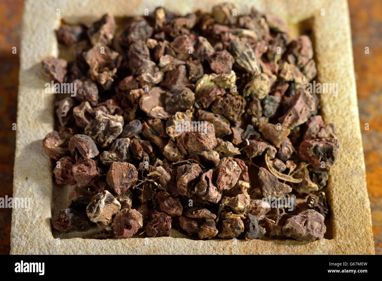 Tormentil, dried roots / (Potentilla tormentilla Stock Photo - Alamy