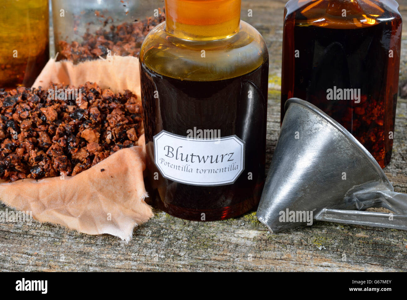 Tormentil, dried roots / (Potentilla tormentilla Stock Photo - Alamy