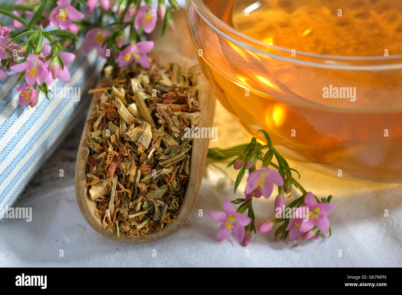 A cup of centaury tea / (Centaurium erythraea Stock Photo - Alamy
