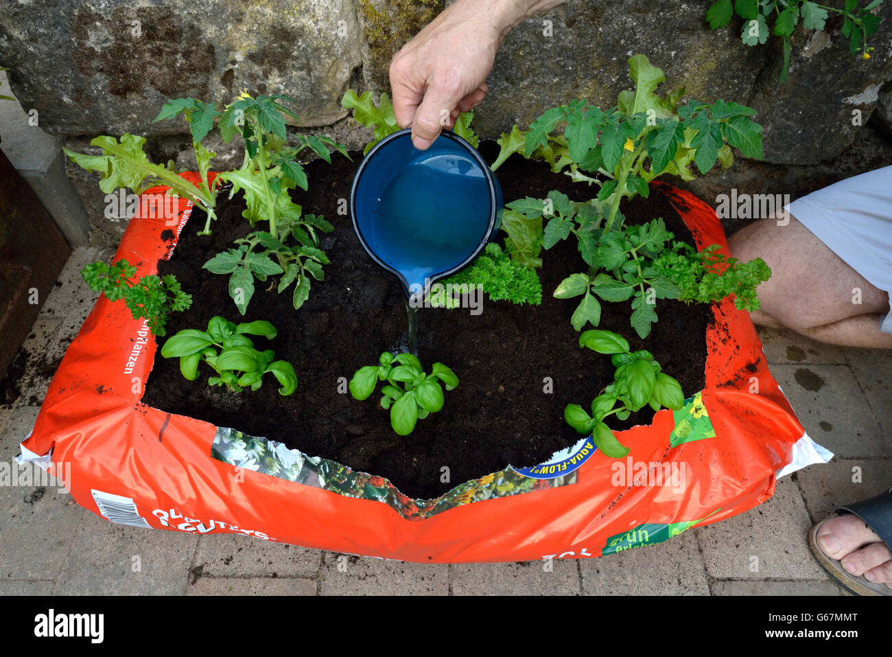 Planting bag of flower soil Stock Photo - Alamy