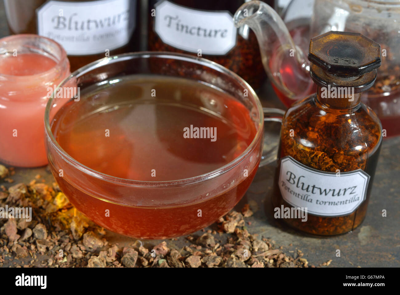 Tormentil ointment, tea / (Potentilla tormentilla Stock Photo - Alamy