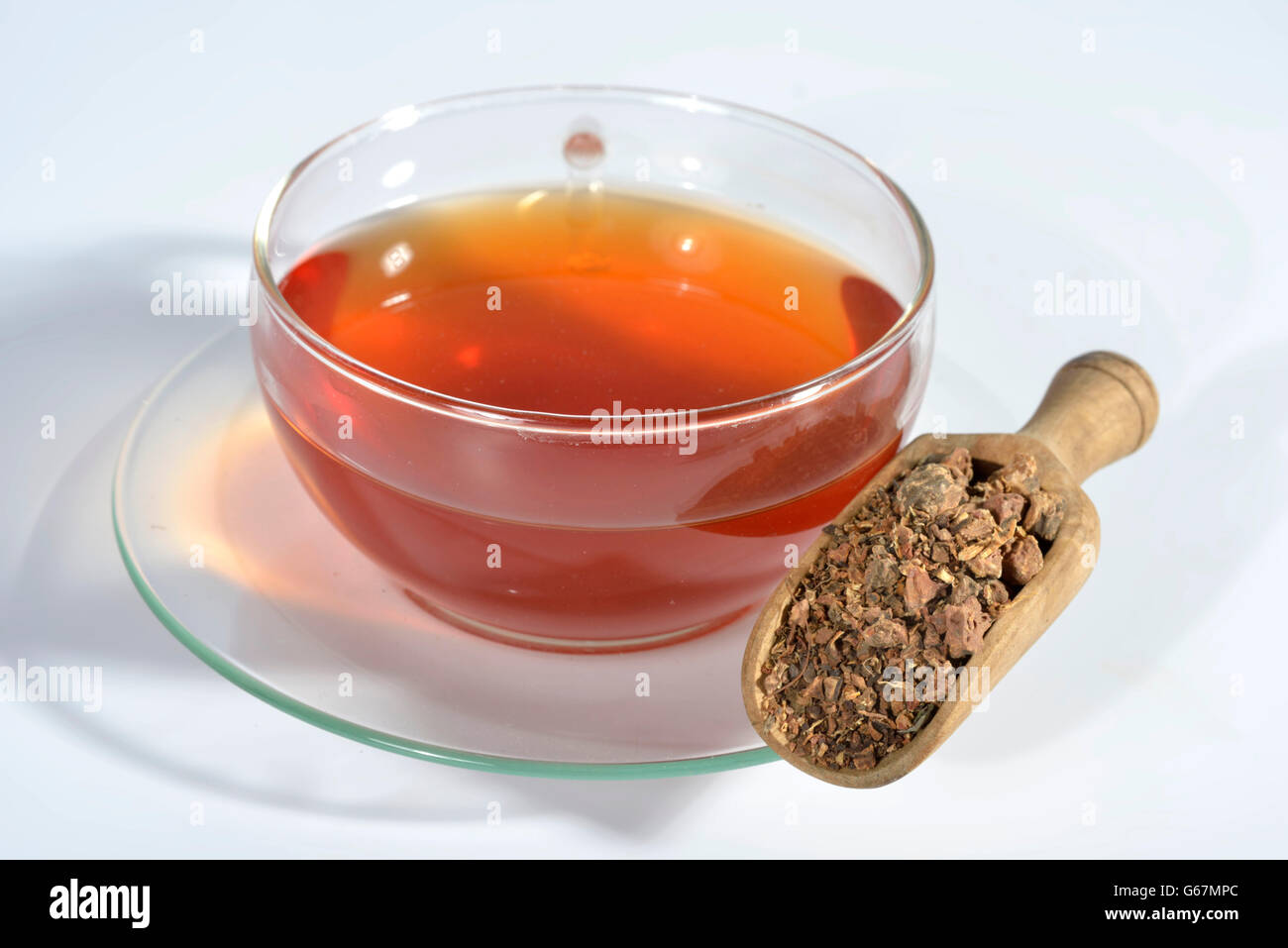 Tormentil root tea / (Potentilla tormentilla Stock Photo - Alamy