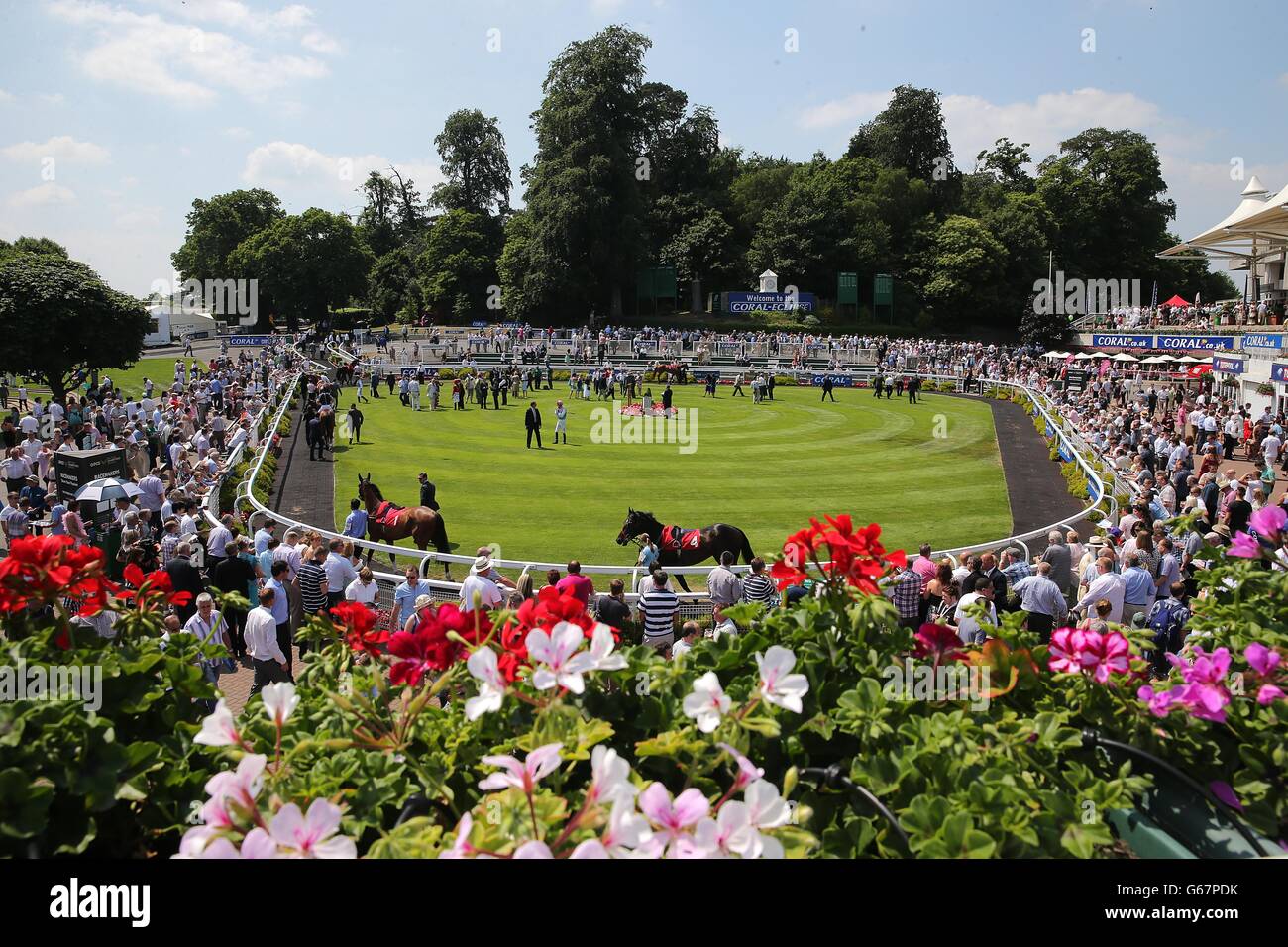 A view of the parade ring before the Malcolm Palmer Memorial Handicap ...